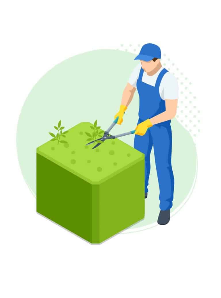How to Remove Hedges | Step-By-Step Guide for All Gardens